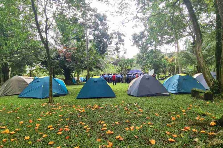 Lembu Putih Taro - Desa Wisata Taro