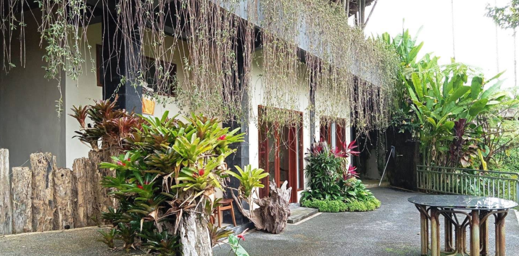 Moringga Ubud Bali - Desa Wisata Taro